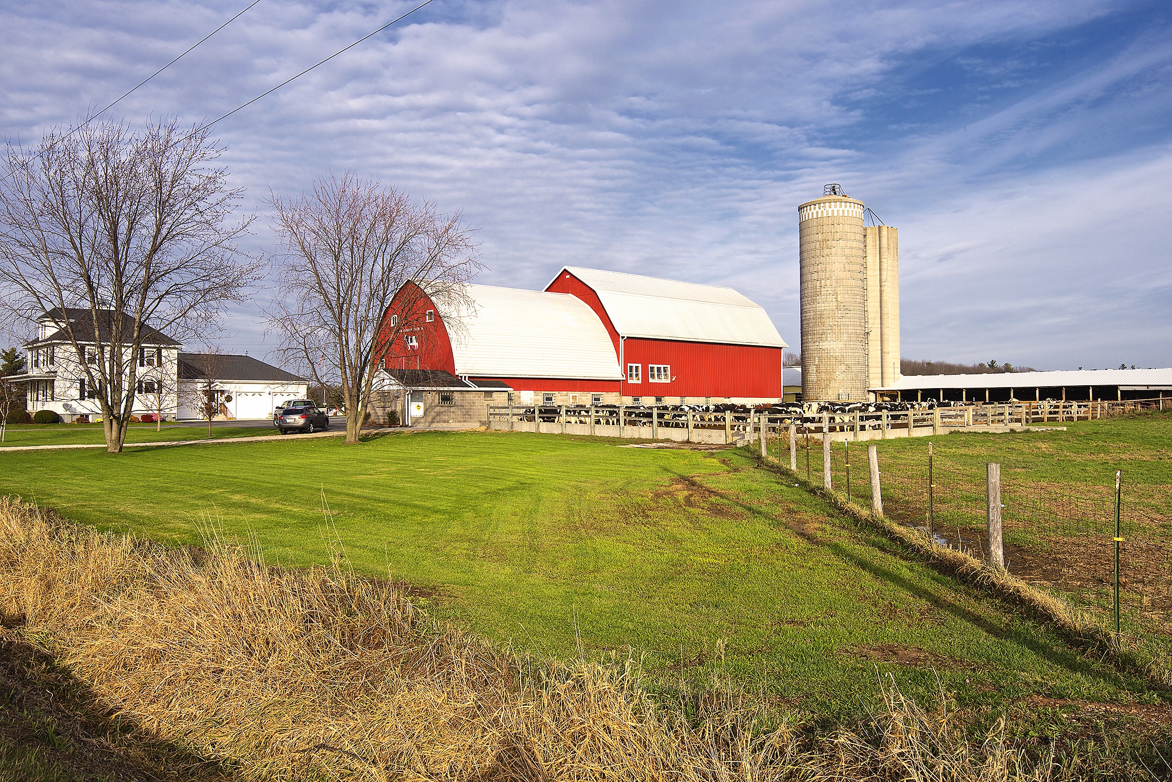 Neighbors helping neighbors | Majestic Crossing Dairy - Sustainable ...
